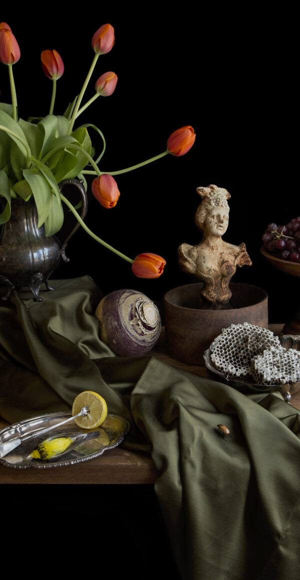 Mid Atlantic Arts